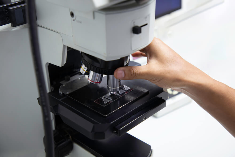 Chemical Composition Analysis: Techniques for Accurate Testing